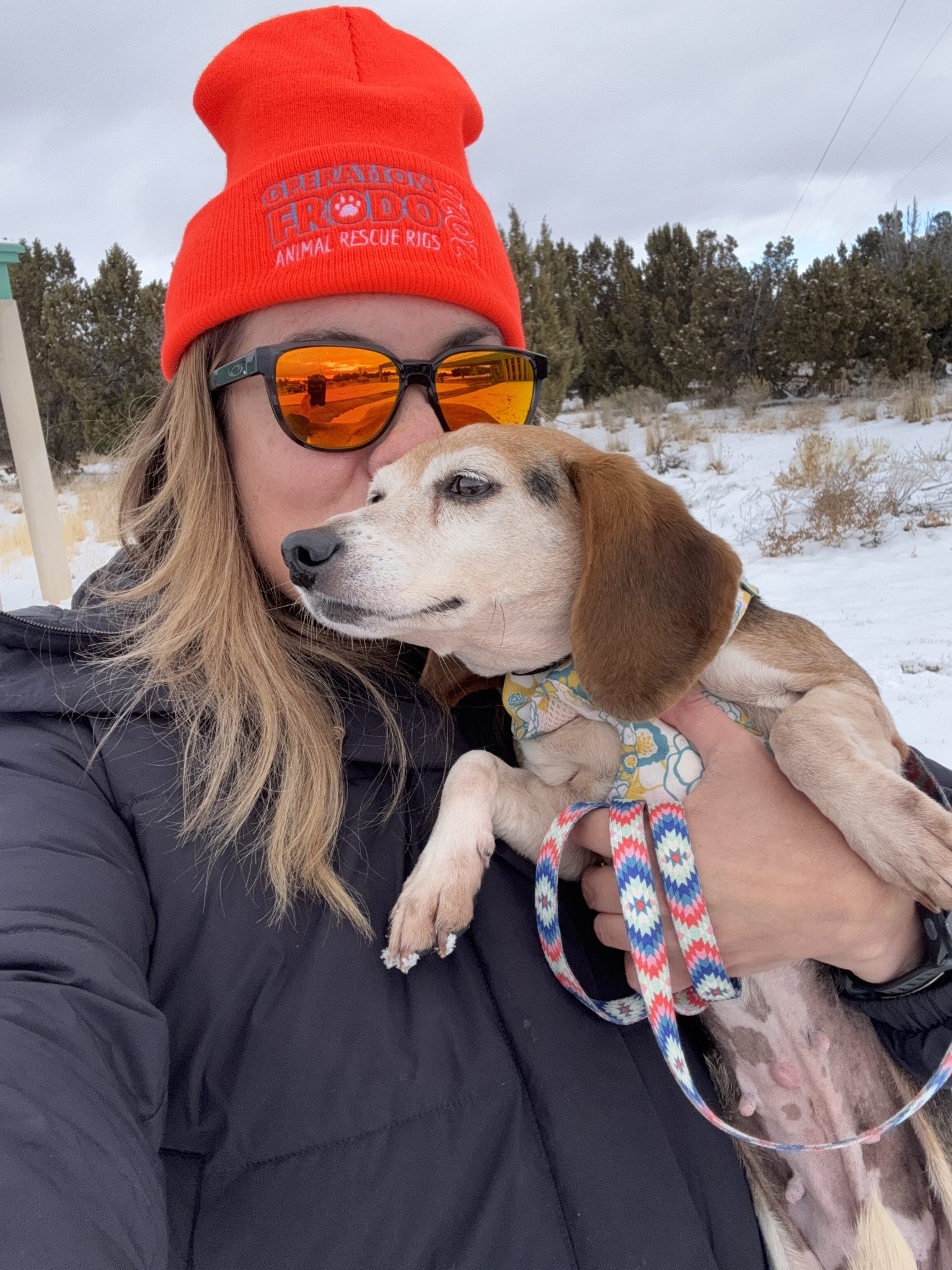 ¡Lo hicimos juntas! Operación Frodo 2024